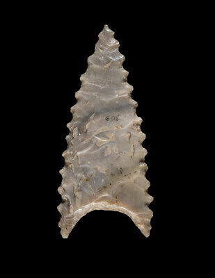 A Neolithic Flint Serrated Point Lot 50