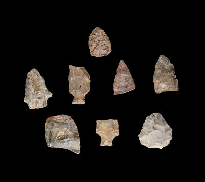Eight Paleolithic Stone Flakes Lot 23