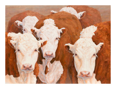 Five Cows Lot 394
