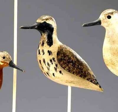 Rare black-bellied plover decoy h. v. shourds sr., tuckerton, new ...