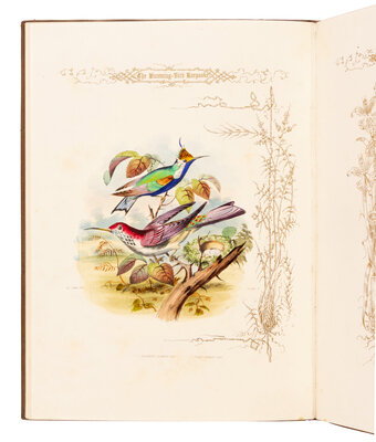 [NATURAL HISTORY]. JERRARD, Paul. The Humming Bird Keepsake Book of ...