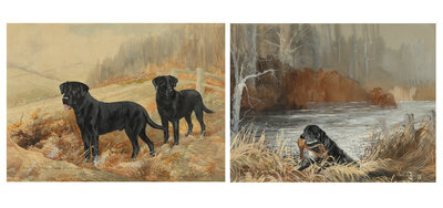 Field Trial Champion Labrador Retrievers and Bring Him Up Boy! (two ...