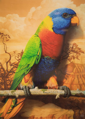 Rainbow Parrot, edition of 10/350, and book, Earthlings: The Paintings ...